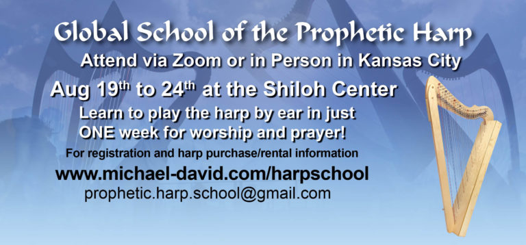 3 Ways to Learn the Harp - Michael-David